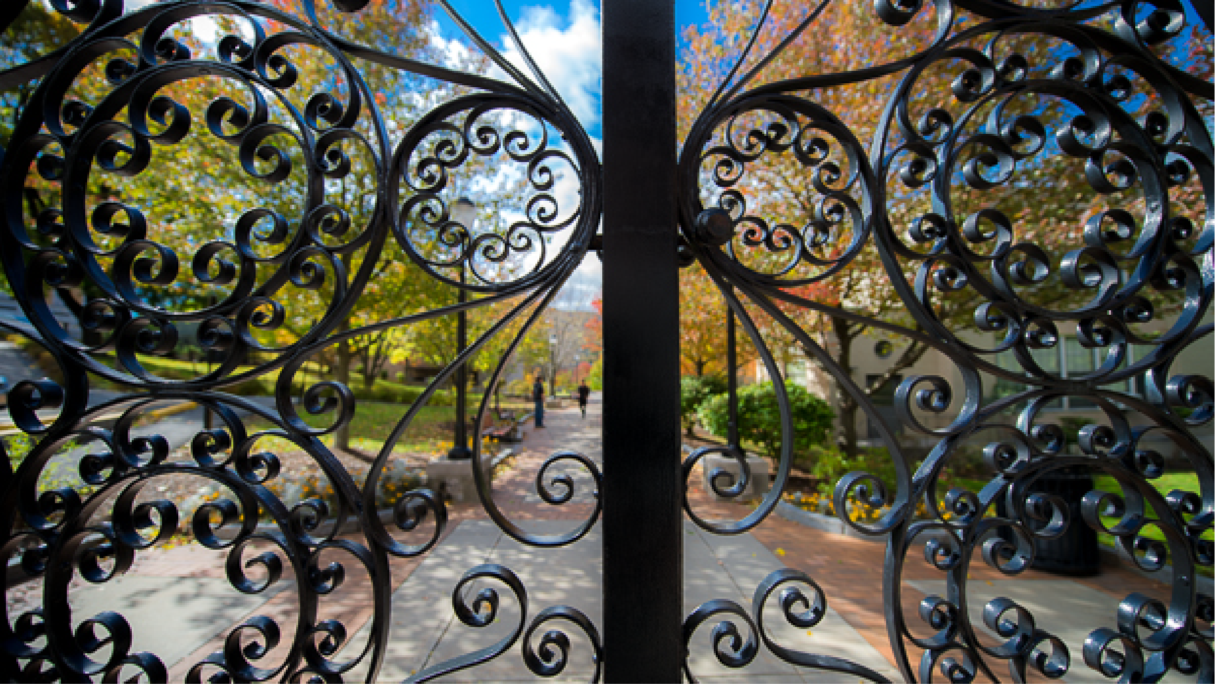 Home - Massachusetts College of Liberal Arts